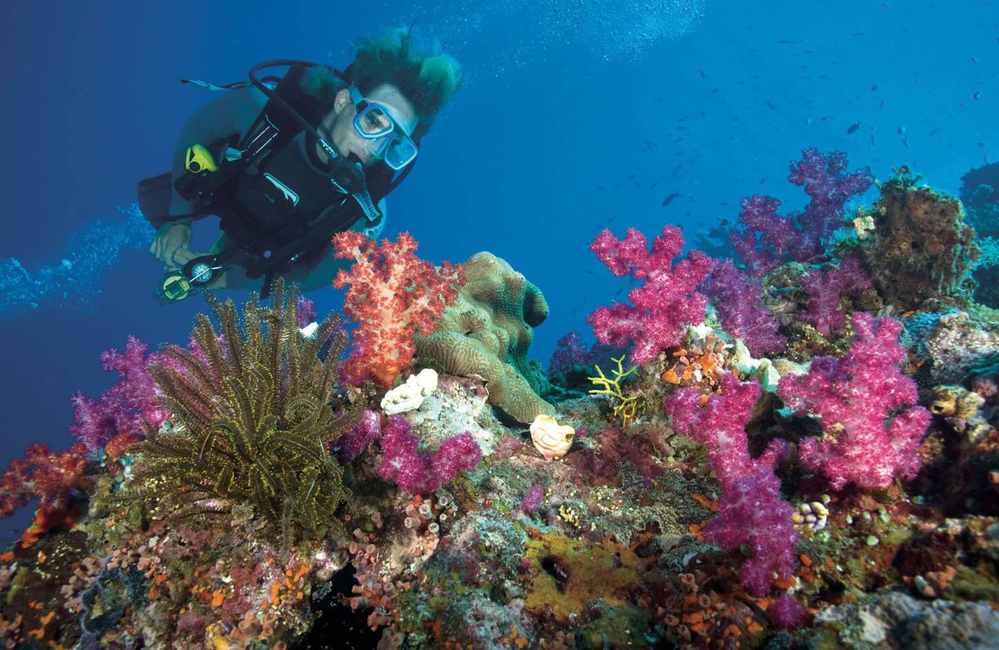 Coastal Wonders in Egypt: 11-Day Cairo, Nile Cruise & Red Sea